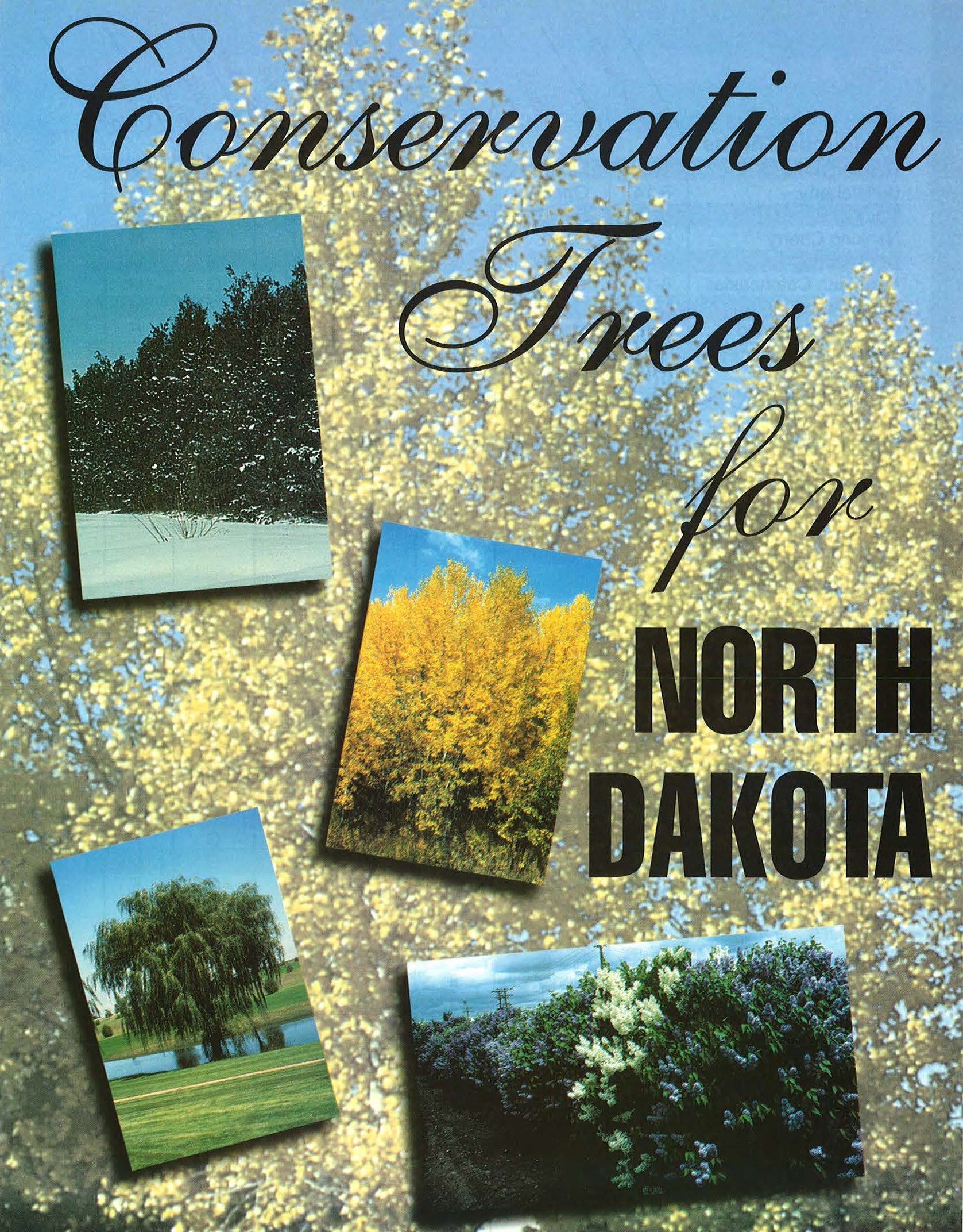 Trees – Williams County Soil Conservation District