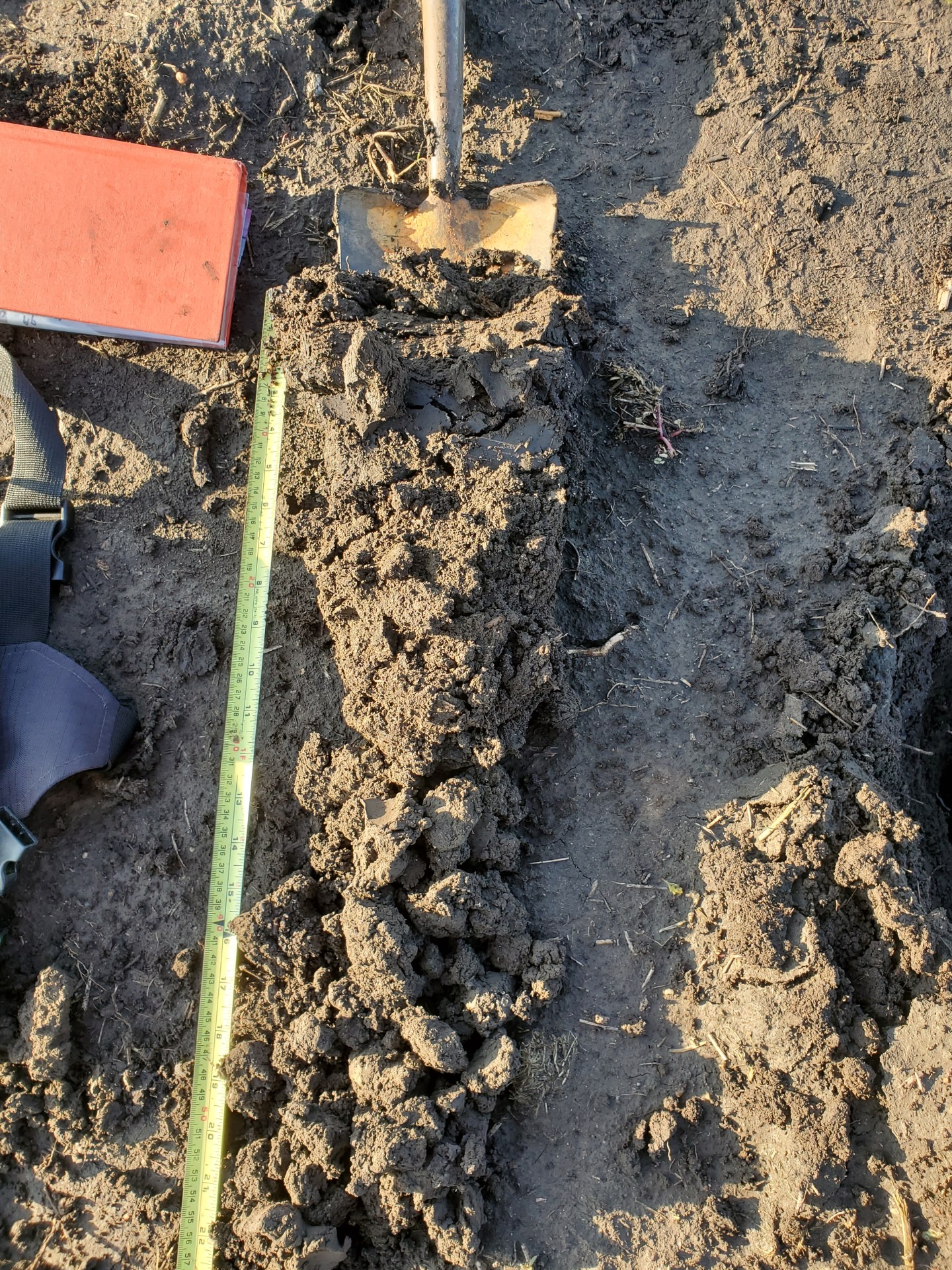 Soil Testing – Williams County Soil Conservation District